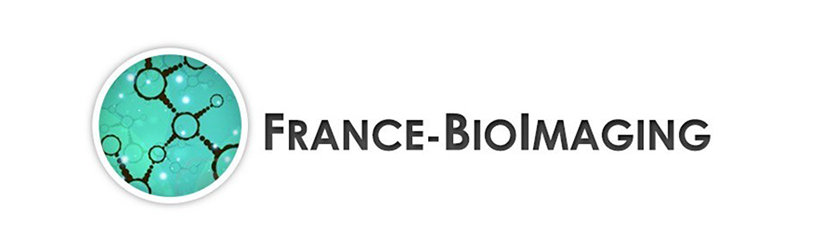 France BioImaging - Institut Fresnel