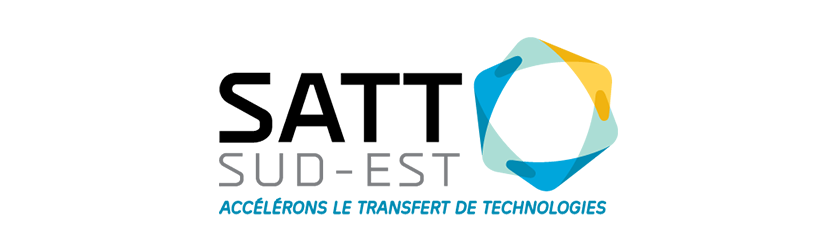 SATT - Institut Fresnel