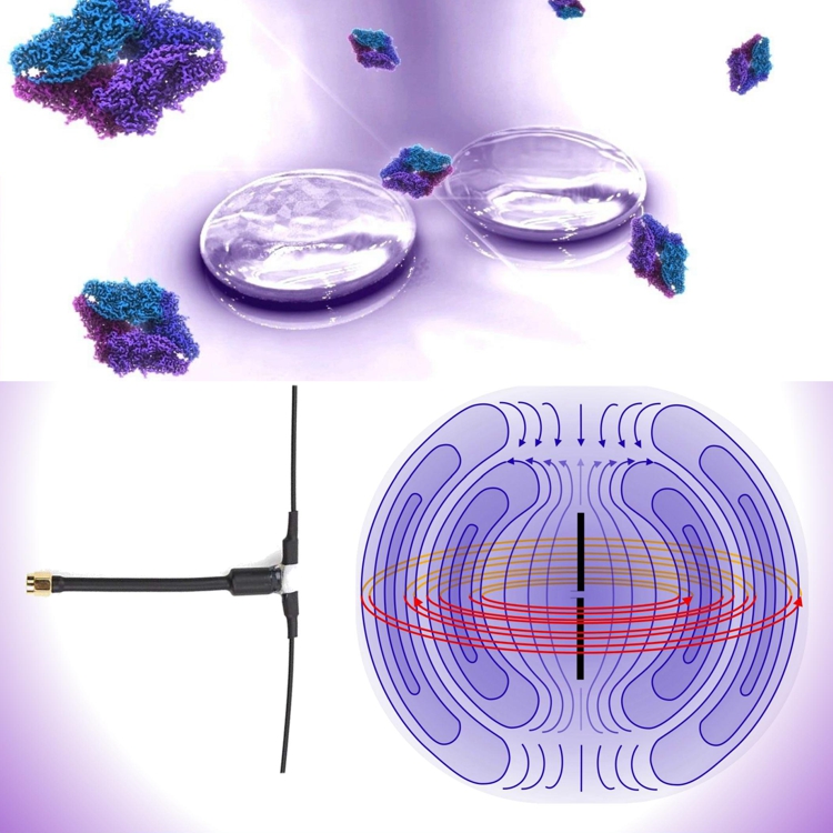 Optical and radio frequency antennas - Institut Fresnel